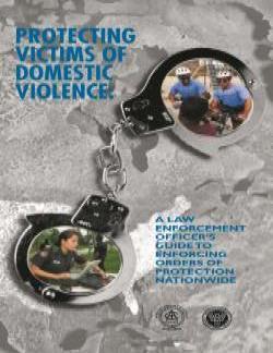 Protecting Victims of Domestic Violence: A Law Enforcement Officer's ...